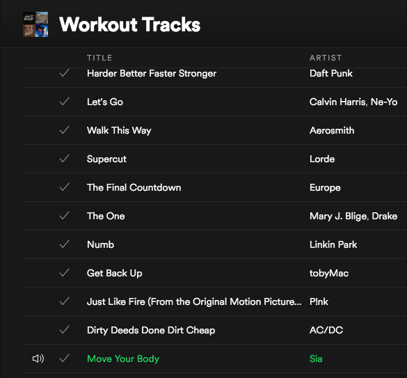 Workout Tracks Playlist